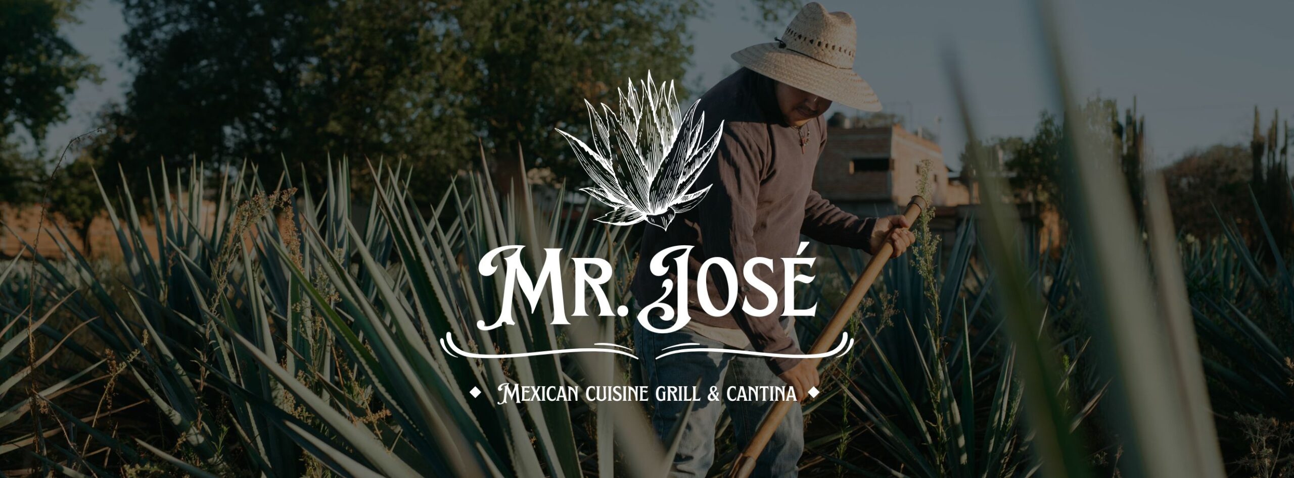 Authentic Tex-Mex in Whitesboro, TX | Mr. Jose Mexican Cousine